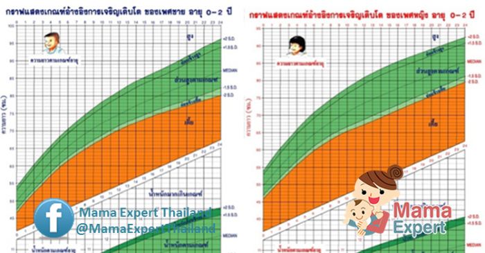 กราฟน้ำหนักเด็กเทียบกับอายุ Weight For Age 